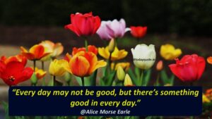 255 Romantic Good Morning Message to Make Her Fall in Love