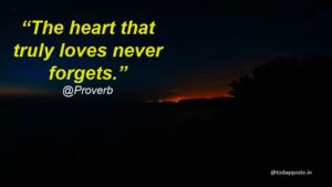 201 Unforgettable Memories Quotes to Embrace The Beautiful Moments in Life