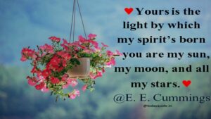 347 You are Special Quotes to Show Your Affection