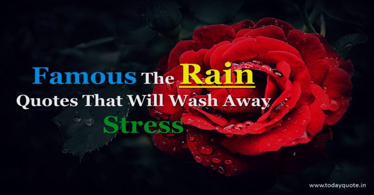 224 Best Positive The Rain Quotes to Uplift Your Spirits