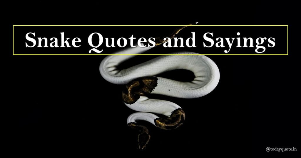 123 Savage Snake Quotes to Make Your Fears Disappear
