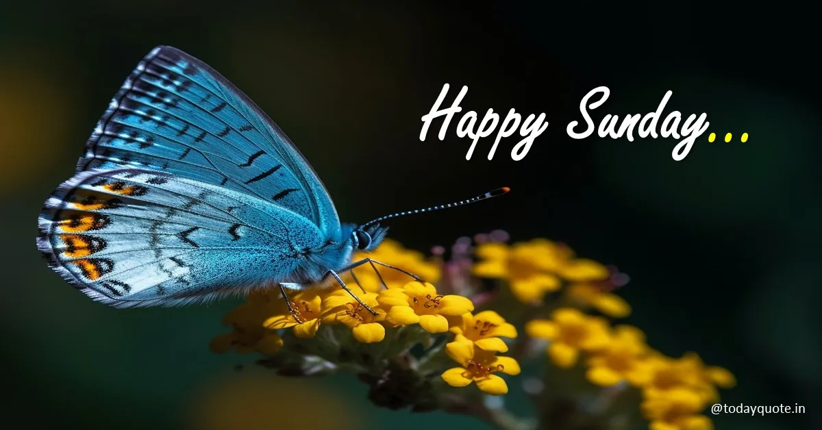 250 New Positivity Good Morning Sunday Inspirational Quotes